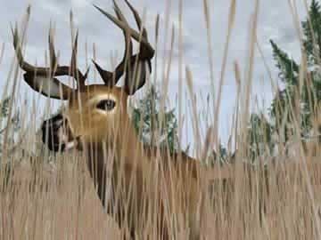 Deer Hunter 2004 Game Review - Download and Play Free Version!